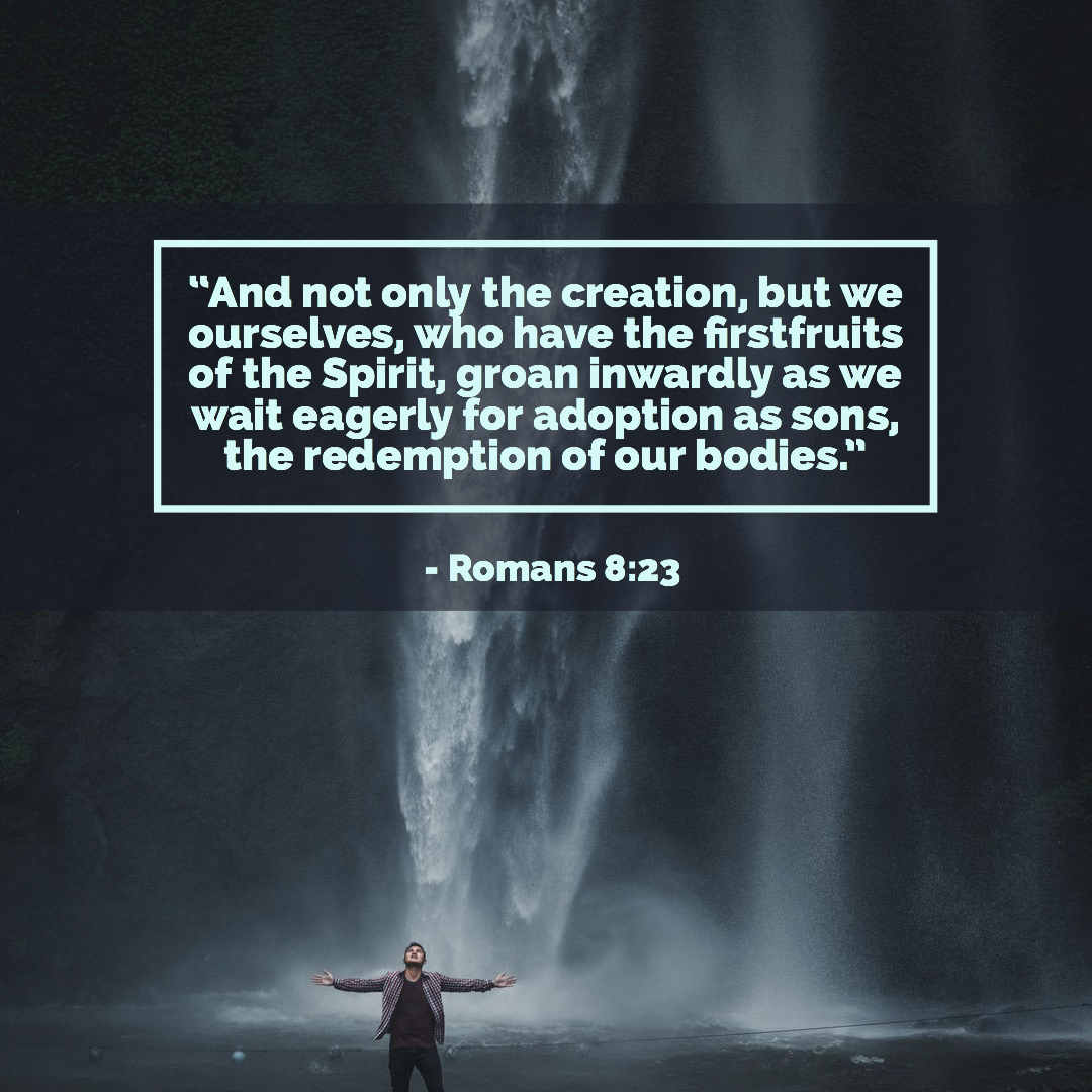 Articles | Grace Family Baptist Church